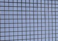 China Stainless Steel Welded Wire Mesh 1/2 Inch 12.7mm Opening BWG23 for Animal Cage 304 Grade for sale