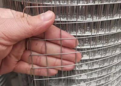China Animals Cage 2cm Ss Welded Wire Mesh 30m X 1m for sale