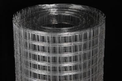 China Stainless Steel Welded Wire Mesh 30m Length 2 Inch Opening Custom Fence Mesh for sale