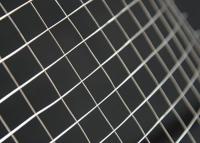 China 0.6mm Stainless Steel Welded Wire Mesh Bird Cage Mesh - ASTM Standard 2x1m Panels SS304/316 for sale