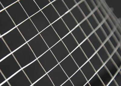 China 0.6mm Stainless Steel Welded Wire Mesh Bird Cage Mesh - ASTM Standard 2x1m Panels SS304/316 for sale