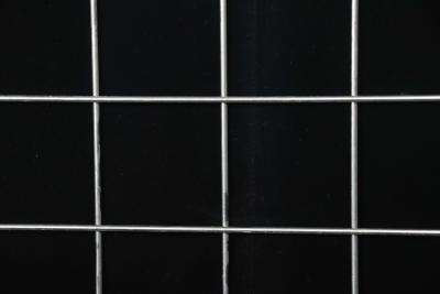 China 3cm Hole Size Ss Welded Mesh 1m Width Electric Galvanized for sale