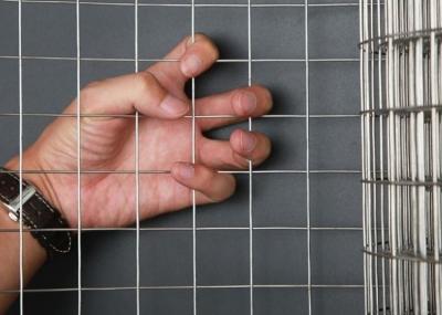 China 316L Stainless Steel Welded Wire Mesh Panel 4x4 Inch 10 Gauge for sale