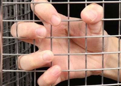 China Building 6mm Wire Mesh Panels Ss316 Silver Galvanised for sale