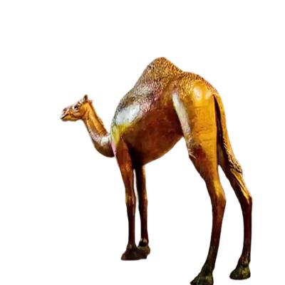 China Bronze Life Size Camel Sculpture - 2000mm Height Garden Animal Statue with Custom Colors for sale