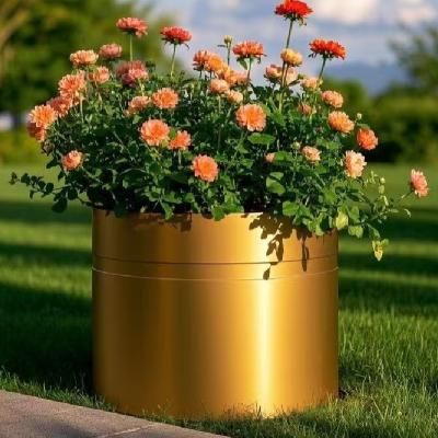 China Gold Stainless Steel Flower Pot Rust Resistant Durable Modern Planter Indoor Outdoor 12 Inch for sale
