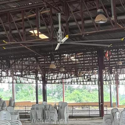 China Powerful 1.5KW Ceiling Fan 5.5m 18FT for Farm Air Cooling and Industrial Ventilation for sale