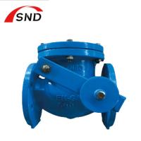 China Customized Cast Iron Swing Check Valve Flanged for Liquefied Gas - 1/4-1/8 Size Reduction, Brass Seat Ring for sale