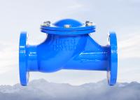 China PN16 DN100 Ductile Iron Flange Check Valve for Water, Oil & Gas Pipelines - 600-900°C Temperature Range for sale