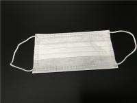 China Medical Cleanroom Consumables Disposable Non Woven Face Mask Earloop 17.5x9.5 cm for sale