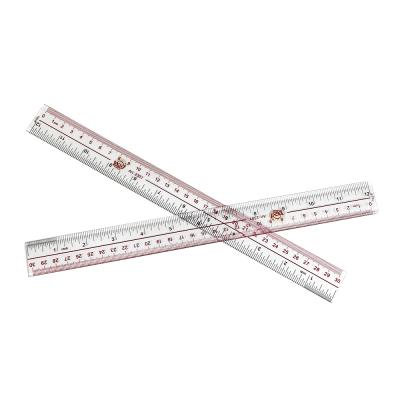 China 30cm Plastic Transparent ESD Ruler Antistatic Straight Ruler for sale