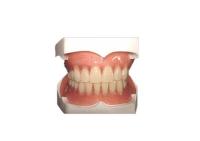 China Removable All Acrylic Partial Denture Natural Looking Easy To Maintain for sale