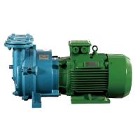 China 2BV 2BE 202 Series Oil-Free Single-Stage Water Ring Vacuum Pump with 33 mbar Absolute Suction Pressure and Mechanical Shaft Seals for Brick Extrusion for sale
