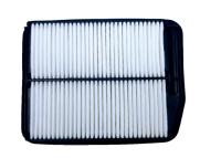 China Automobile Air Filter 17220-RFG-W00 for Honda Odyssey RB1 2005-2008 99% Efficiency for sale