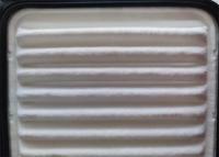 China Plastic Ring Automotive Air Filter 17801-B1010 252x183x34mm for Daihatsu for sale