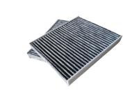 China BMW Cabin Air Filter 247x207x27mm Activated Carbon Cloth Pair 64119163329 64119272642 for sale