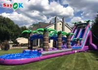 China Commercial Grade Purple Inflatable Water Slide 40ft with Pool for Amusement Park for sale