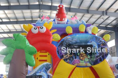China Custom Printed Inflatable Dry Slide Bouncy Castle 0.55mm PVC for Kids Events for sale