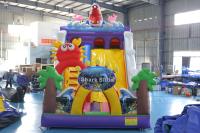 China Custom Printed Inflatable Dry Slide Bouncy Castle 0.55mm PVC for Kids Events for sale