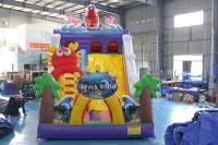 China Custom Printed Inflatable Dry Slide Bouncy Castle 0.55mm PVC for Kids Events for sale