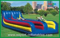 China Customizable Colorful Inflatable Water Slide for Kids Outdoor Amusement Park 0.9mm PVC for sale