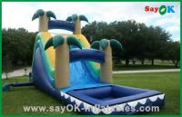 China Commercial Water Park Inflatable Bouncer Slide 0.55mm PVC with Pool for Outdoor Fun for sale