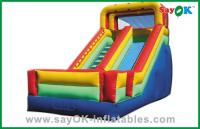 China Commercial Inflatable Bouncy Slide 4x5m with 0.55mm PVC Tarpaulin and CE Blower for sale