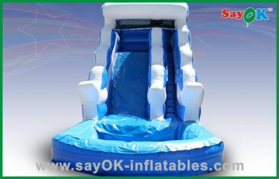 China Wet Dry Inflatable Slide Castle with 1500W Blower | 0.55mm PVC Material | Custom Design Options for sale