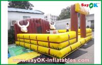 China Commercial Inflatable Bouncer 0.55mm PVC Fireproof Waterproof for Amusement Park for sale