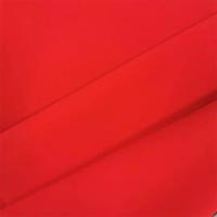 China 130gsm 70d Nylon Taslon Fabric 40d 88 Nylon 12 Spandex Fabric for sale