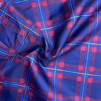 China 100%Polyester  63D*63D 210T Taffeta for sale