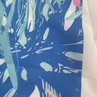 China 73±5GSM 50D+20D*50D+20D  SS2024 RECOMMENDED FABRIC for sale