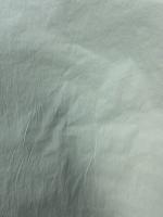 China 40D*40D 100%N 90GSM Nylon Fabric for sale