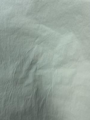 China 40D*40D 100%N 90GSM Nylon Fabric for sale