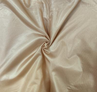 China 7D*7D  100%N  19±3GSM  Nylon Fabric for sale