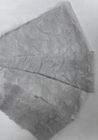 China 20D*20D 400T  100%N  90±3GSM  Nylon Fabric for sale