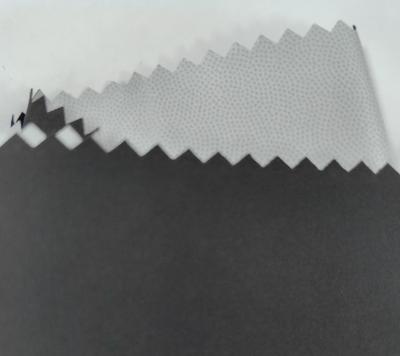 China 75D*75D 100%P  141±3GSM  High Elastic Fabric for sale