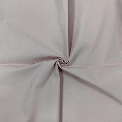 China 70D+70D*70D  100%N  136±3GSM  Nylon Fabric for sale