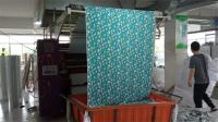 China 115gsm Polyester Taslon Fabric 75DX160D Digital Printed for sale