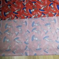 China 300t Polyester Taffeta Fabric 70gsm 50dx50d Water Resistance for sale