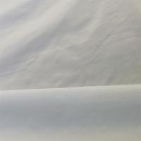 China 20dx20d 380t Waterproof Nylon Taffeta Fabric 36gsm for sale