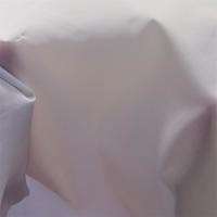 China 20dx20d 380t Waterproof Nylon Taffeta Fabric 36gsm for sale