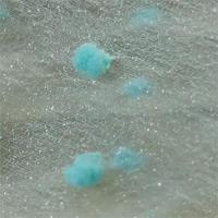 China Lady'S Skirts  Blouses And Dresses 100% Polyester  Chiffon  Fabric for sale