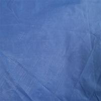 China 40dX40d 310t Recycle Fabric 100% Nylon Taffeta Embossed Fabric for sale