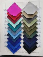China 310gsm Polyester Soft Shell Fabric for sale