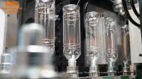 China Mineral PET Preform Water Bottle Blowing Machine 2 Cavity 3500BPH 2L for sale