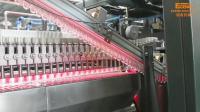 China SMC Automatic 4 Cavity Blow Molding Machine 6000BPH 2L PET Bottle Manufacturing for sale