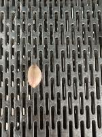 China 4mm Pitch Round Perforated Steel Sheet with Oval Holes for Filtration 0.5-3mm Thick for sale