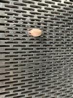 China 1000x2000mm Perforated Steel Sheet with Oblong Holes for Grain Screening for sale