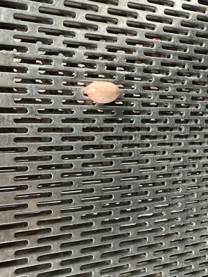 China 1000x2000mm Perforated Steel Sheet with Oblong Holes for Grain Screening for sale